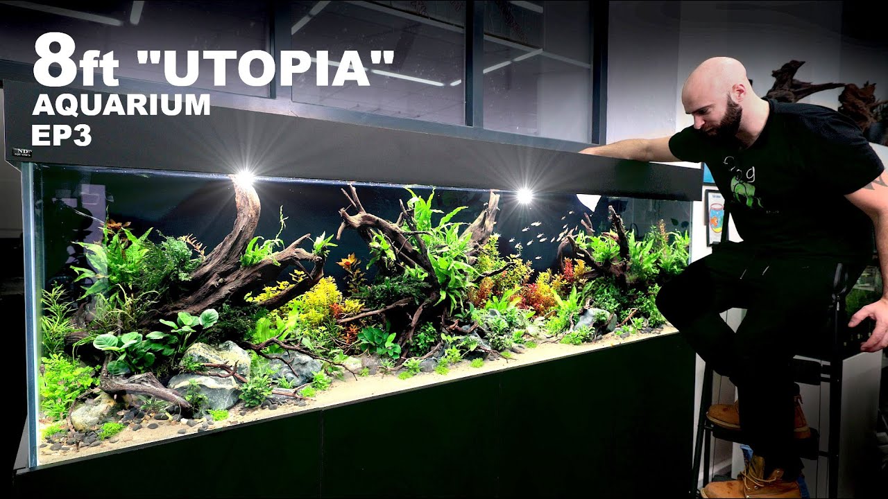 Workshop met MD Fishtanks | De Wase Aquarium & Vijverwinkel